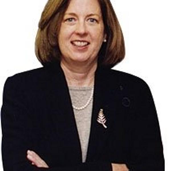 Nancy Hayes' Investing Profile - Angel | Signal